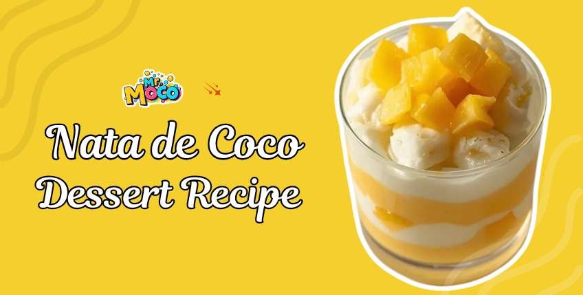 Mr. Moco Drinks - Premium Nata de Coco Drinks