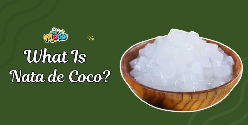 Mr. Moco Drinks - Premium Nata de Coco Drinks